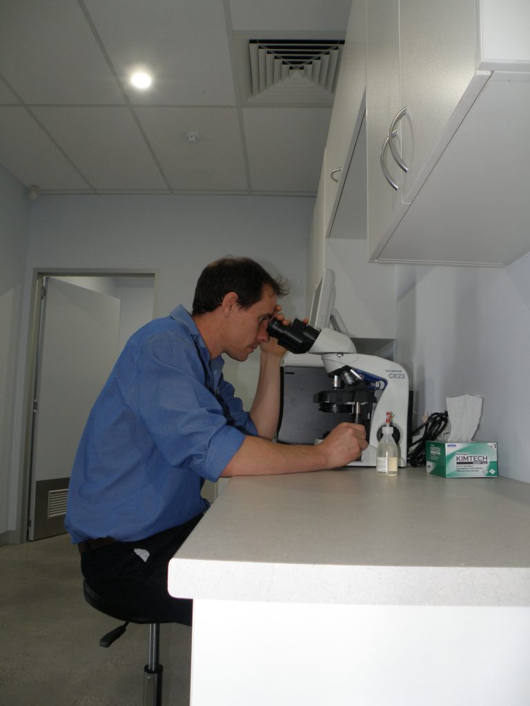 Laboratory - Wellington Village Vet