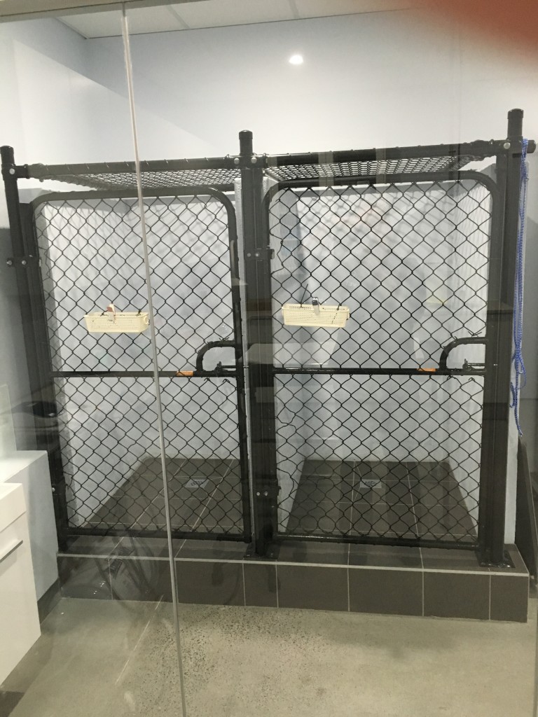 Dog Ward - Wellington Village Vet