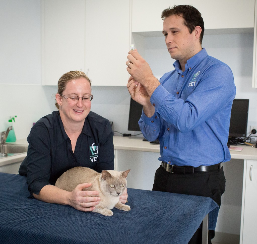 Hospital - Wellington Village Vet